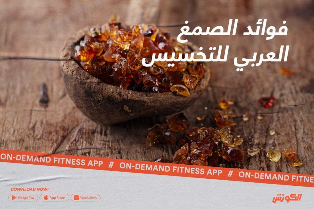 فوائد الصمغ العربي للتخسيس Elcoach الكوتش