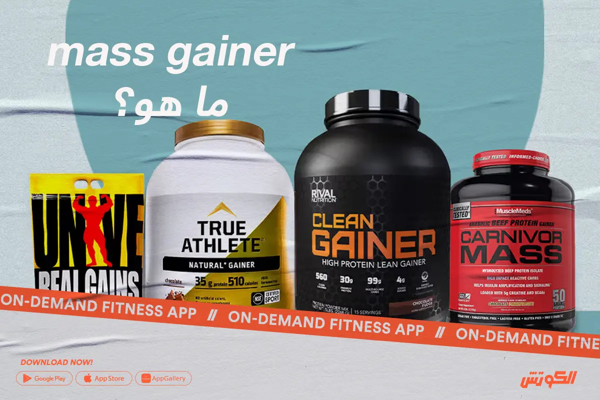 mass gainer ما هو؟ - ElCoach - الكوتش